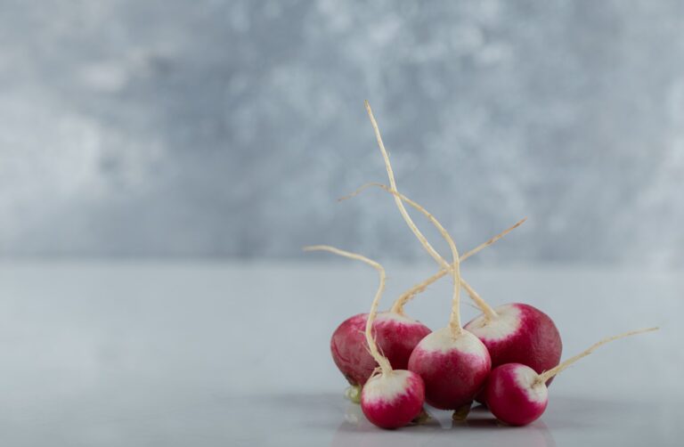 Cómo se cultiva el rabanito - La Agricultura